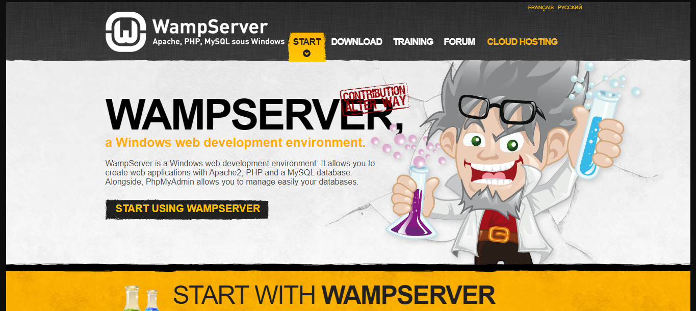 7 Best Steps to Locally Setup WordPress Using WAMP - Verse WP